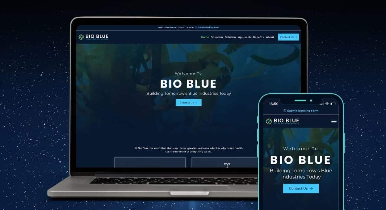 Web Design & Digital Marketing in Essex | Affordable Web Design